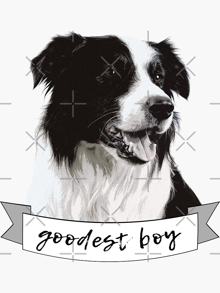 "Goodest Boy Border Collie Dog" Sticker for Sale by njmclean | Redbubble
