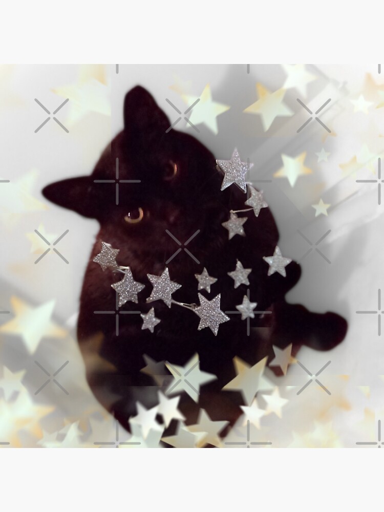 "Catty star" Sticker for Sale by Alamacota | Redbubble