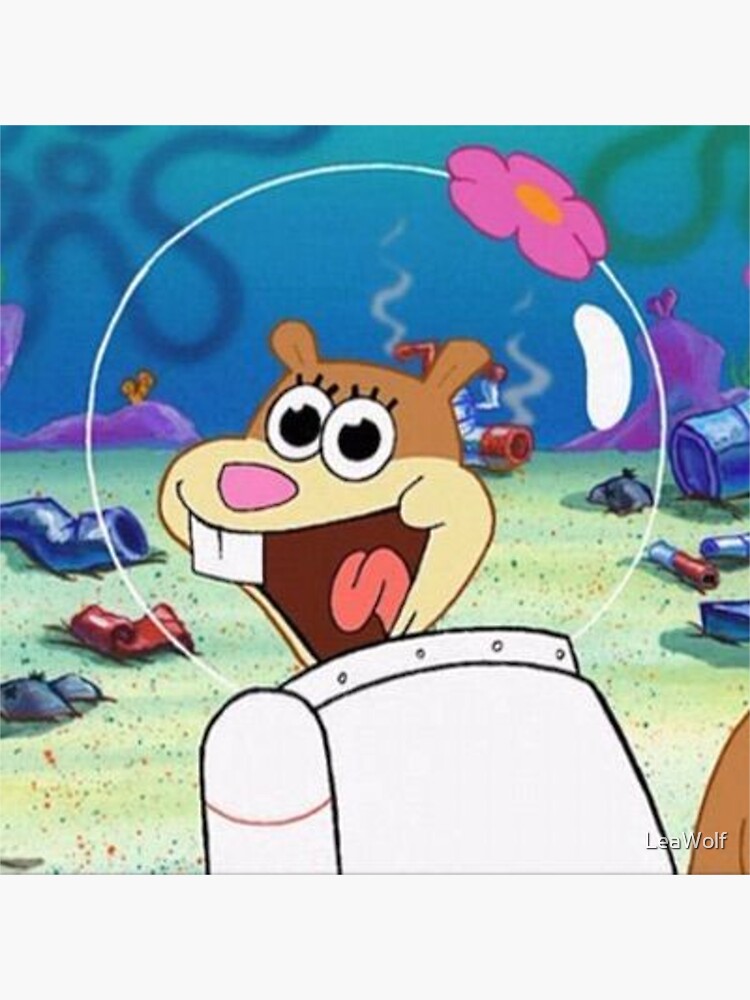 "Spongebob Squarepants Sandy Cheeks" Sticker by LeaWolf | Redbubble