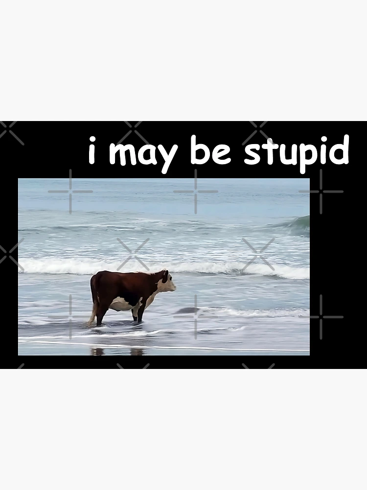 Lustige Kuh Memes Funny Cow And Milk Fotos Und Bildmaterial In Hoher