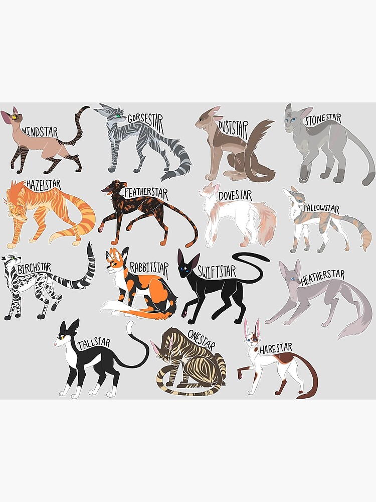 "Every Windclan Leader Ever" Poster for Sale by Draikinator | Redbubble