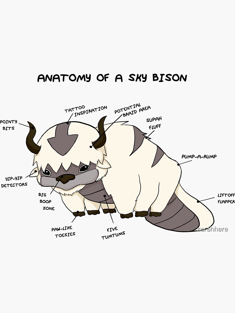 "Anatomy of a Sky Bison" Sticker for Sale by sarahhere | Redbubble