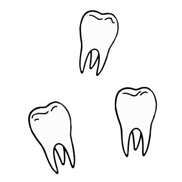 "Boygenius Tooth Sticker Set Pack" Sticker by andreatpwk | Redbubble