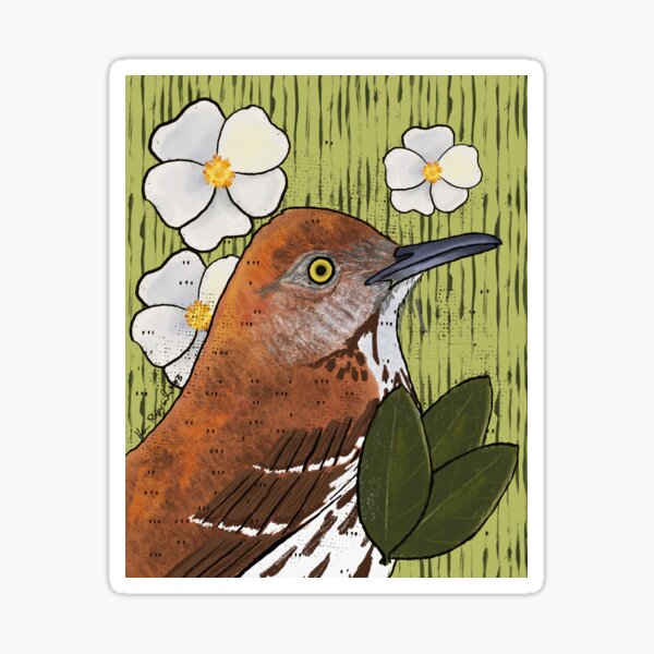"Georgia Brown Thrasher" Sticker for Sale by Kimtherausch | Redbubble