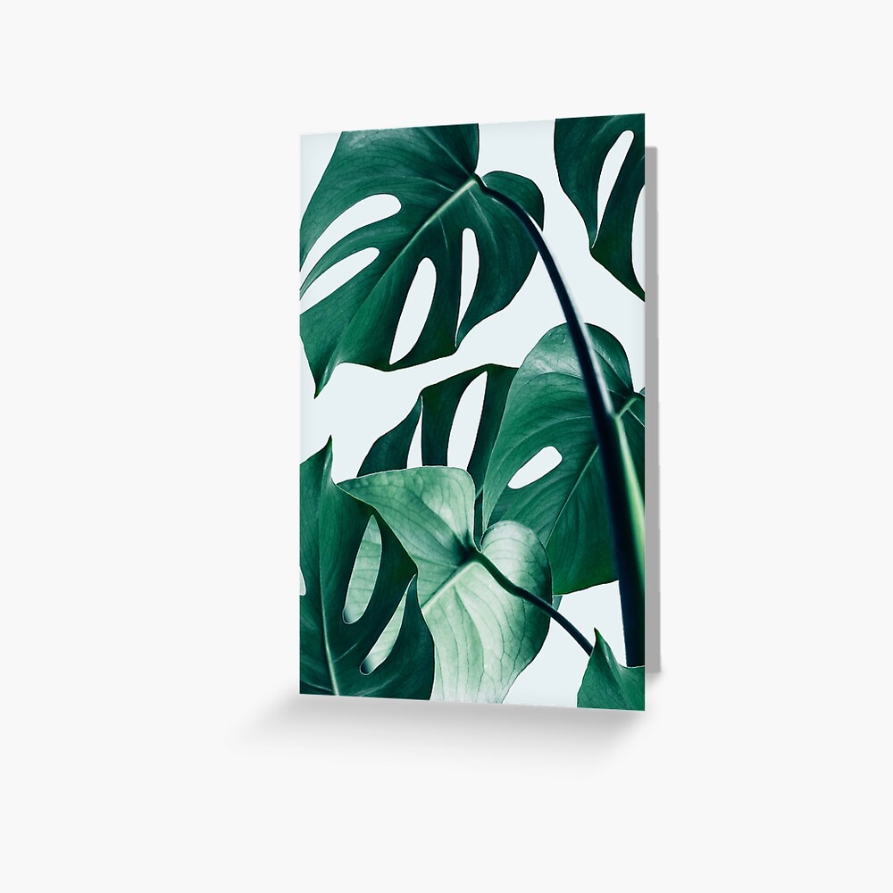 "Monstera #redbubble #artprints" Greeting Card for Sale by 83oranges ...