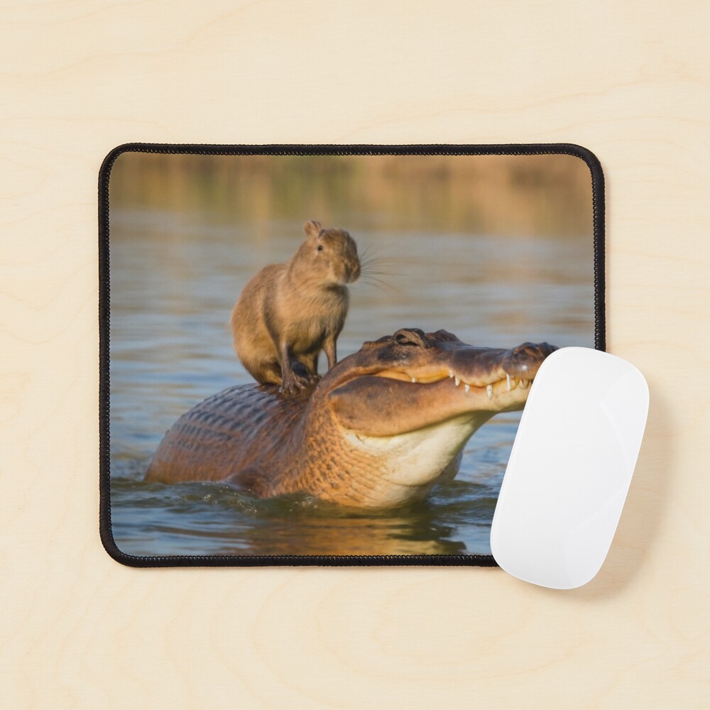 "Capybara on alligator" Poster for Sale by PawelNature | Redbubble