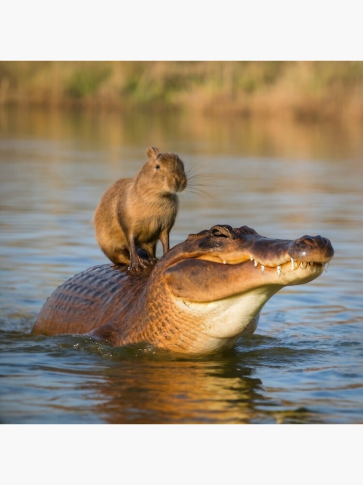 "Capybara on alligator" Poster for Sale by PawelNature | Redbubble