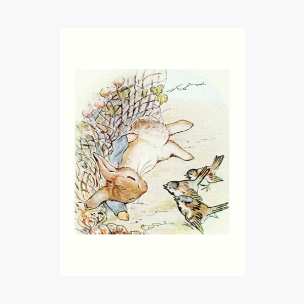 "Peter Rabbit Caught In A Net - Beatrix Potter" Art Print for Sale by ...