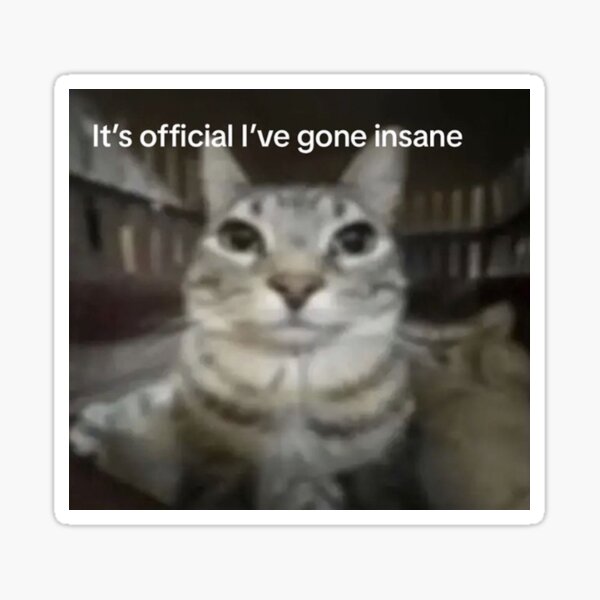 "Funny Cat Crazy and Sad Meme " Sticker for Sale by Ariilea | Redbubble