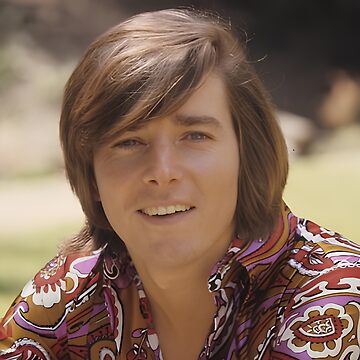 " bobby sherman handsome" Poster for Sale by warshipologiste | Redbubble