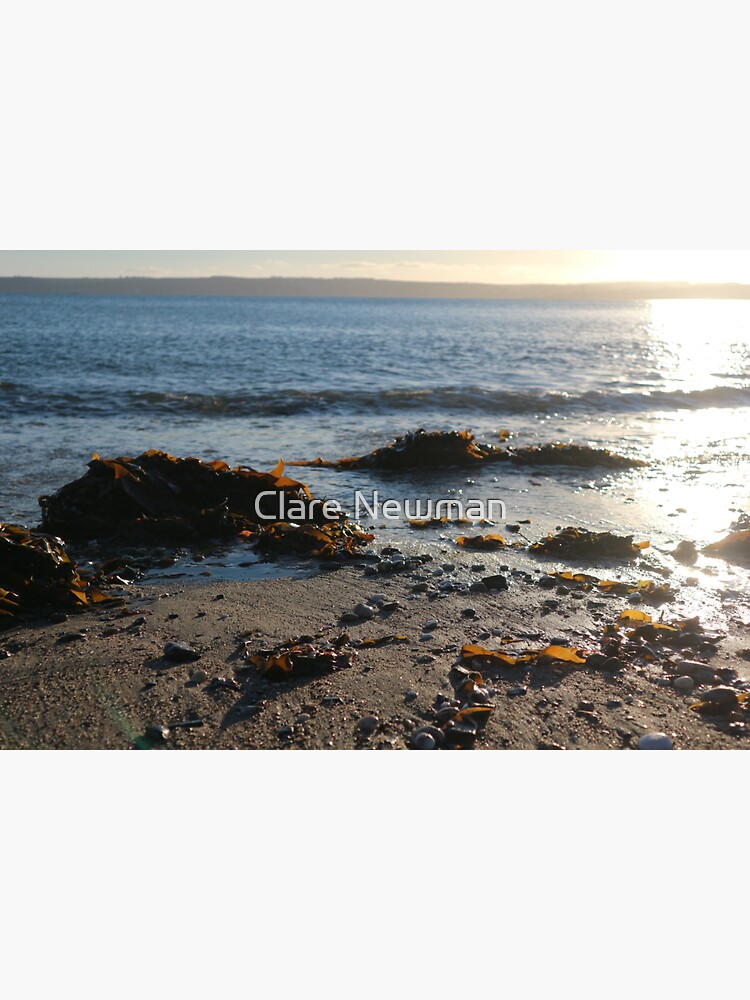 "Beach scene" Sticker for Sale by Clarenormandy | Redbubble