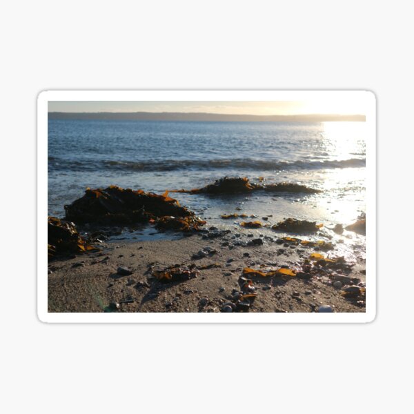 "Beach scene" Sticker for Sale by Clarenormandy | Redbubble