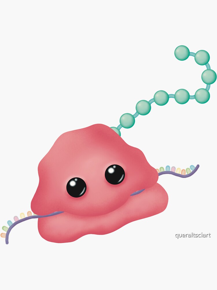 "Cute Ribosome" Sticker for Sale by queraltsciart | Redbubble