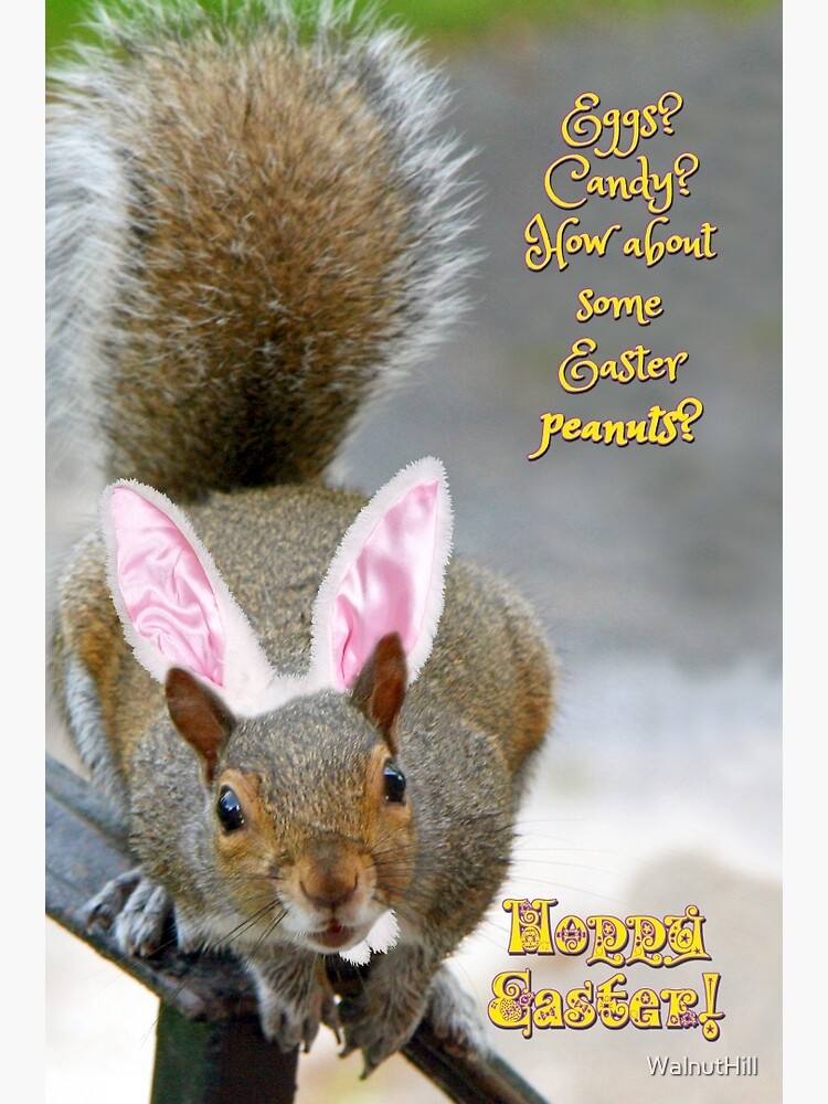 "Hoppy Easter from the Easter Squirrel" Greeting Card for Sale by ...
