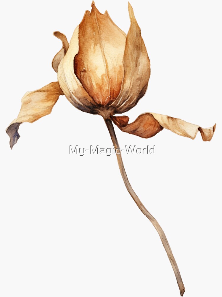 "Dried Flower Autumn Withered Flower" Sticker for Sale by My-Magic ...