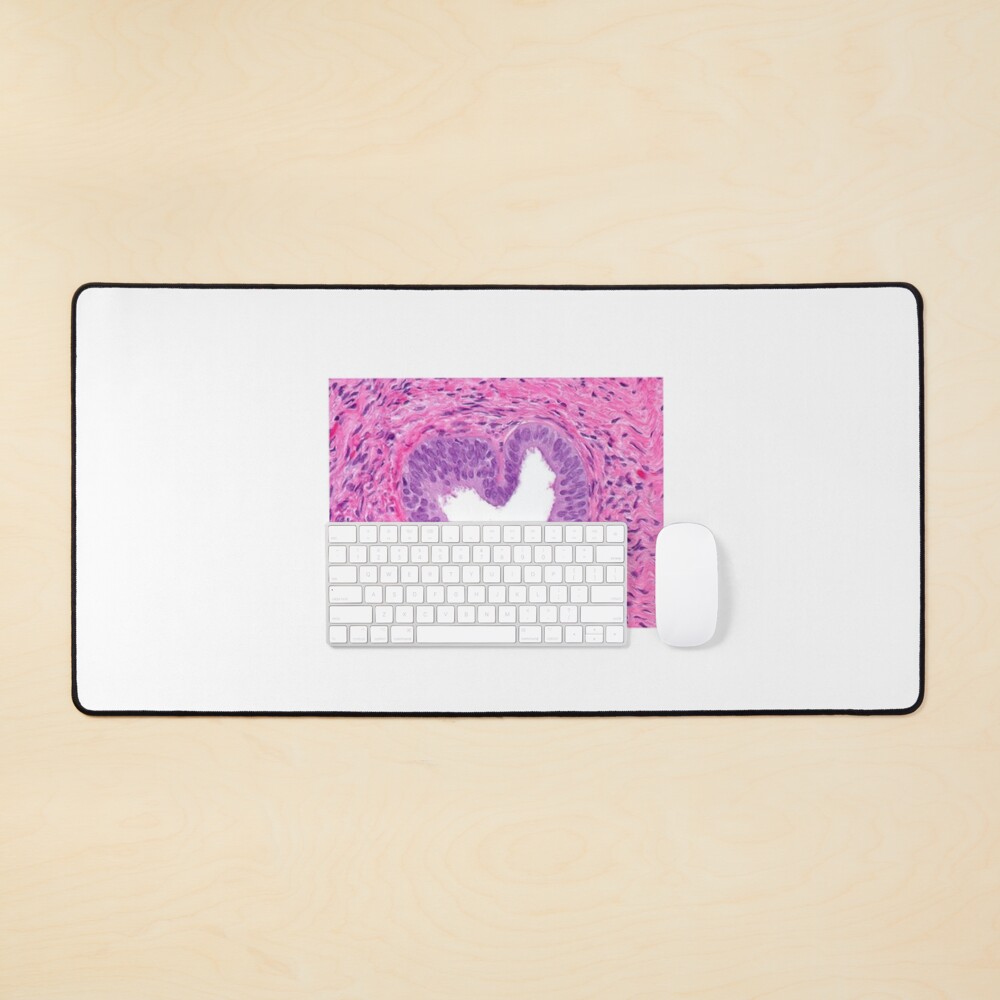 "Heart Prostate Cell Histology" Sticker for Sale by PictoParade | Redbubble
