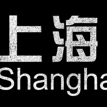 "Shanghai China Subway Chinese Metro Train Railfan Logo" Sticker for ...
