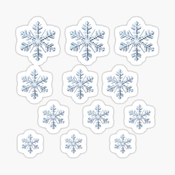 Snowflake Merch & Gifts for Sale | Redbubble