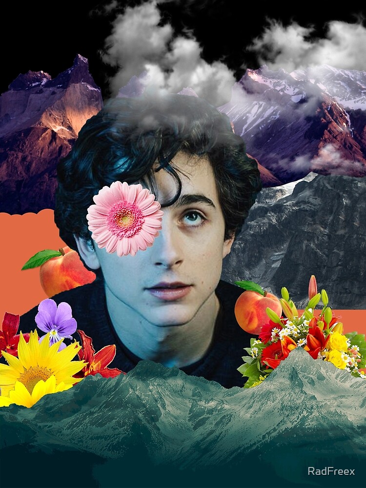 "Timothee Chalamet Collage" Art Print for Sale by RadFreex | Redbubble