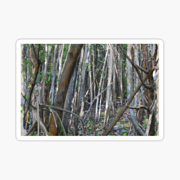 "Mangrove" Sticker for Sale by silvanasoriano | Redbubble