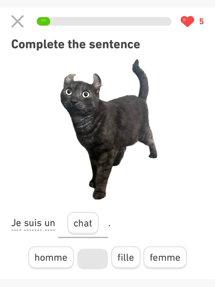 "meevin duolingo meme" Sticker for Sale by GeekChicThreads | Redbubble