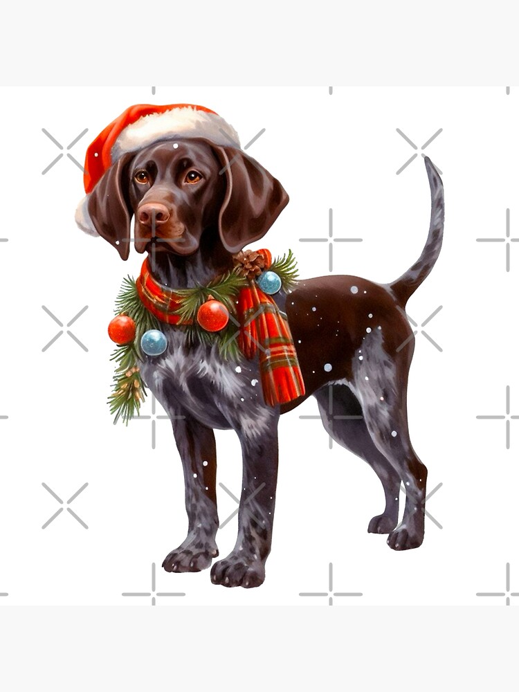 "Christmas German Shorthaired Pointer Dressed for Christmas - GSP ...
