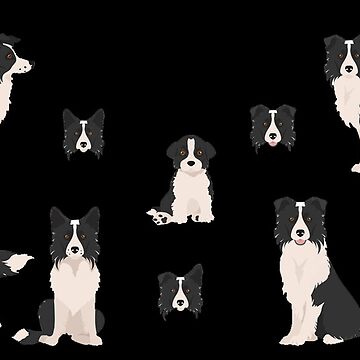 "Border Collie Collage" Sticker for Sale by KLloydPhotos | Redbubble