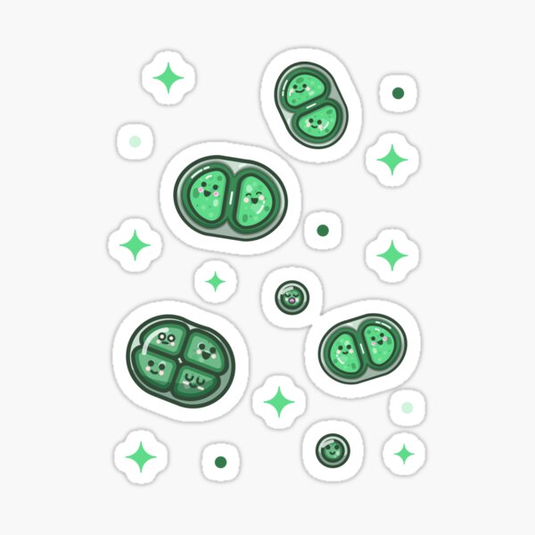 "Cyanobacteria cute cartoon, Chroococcus, Blue-green algae art ...