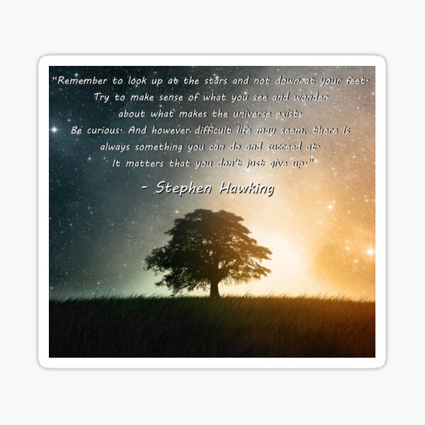 "Stephen Hawking" Sticker for Sale by VelveetaShamroc | Redbubble