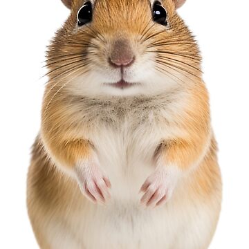 "Cute gerbil" Sticker for Sale by ArtfulPlay | Redbubble