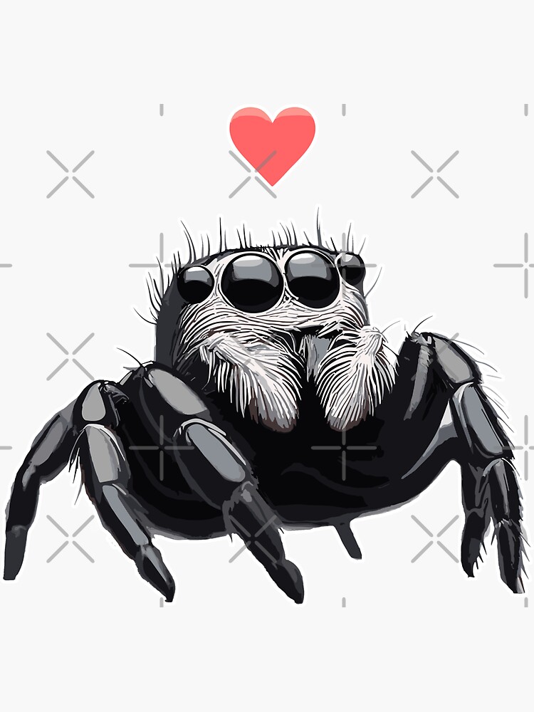 "Cute jumping spider of love" Sticker for Sale by TomFrontierArt ...