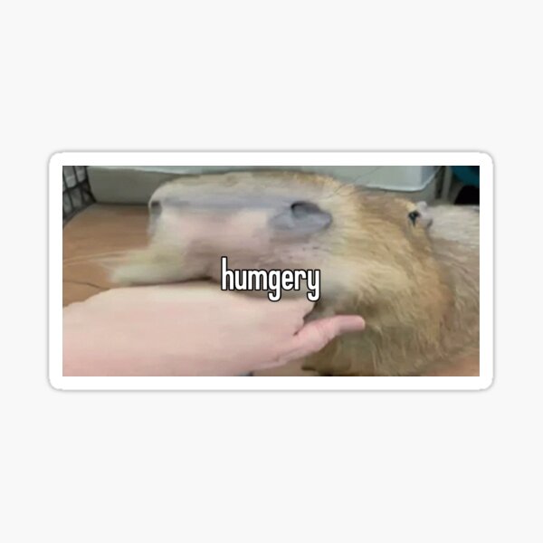 "capybara meme" Sticker for Sale by offandonagain | Redbubble