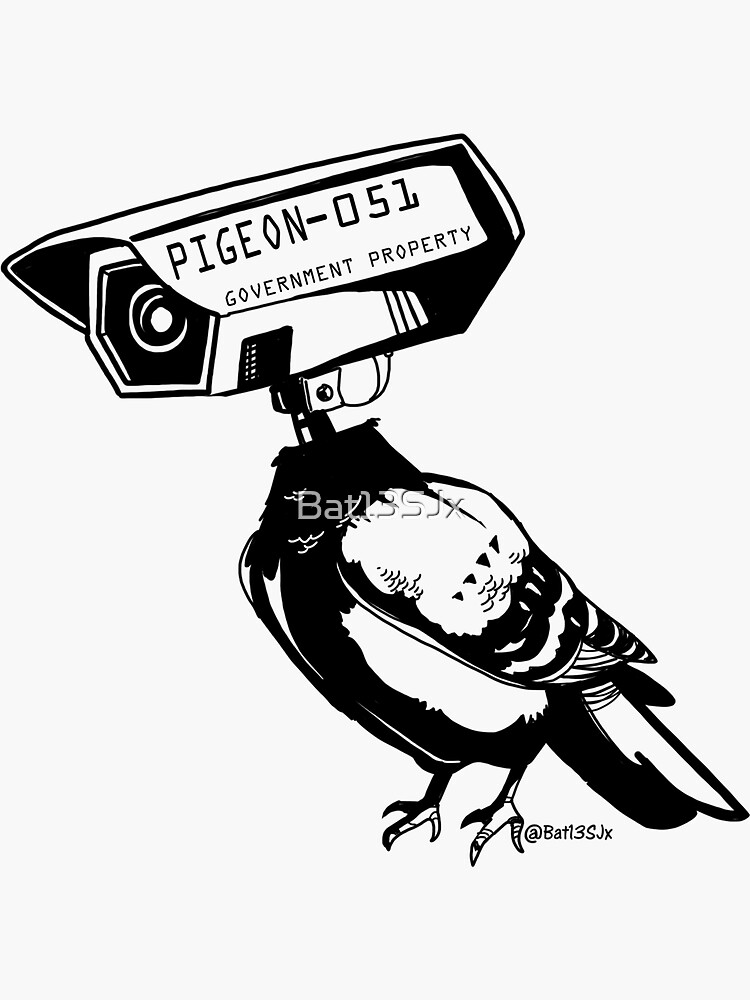 "Pigeon Surveillance " Sticker for Sale by Bat13SJx | Redbubble