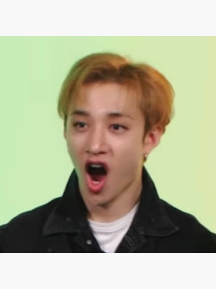 "Stray Kids Bang Chan Meme" Sticker for Sale by lorienskz | Redbubble