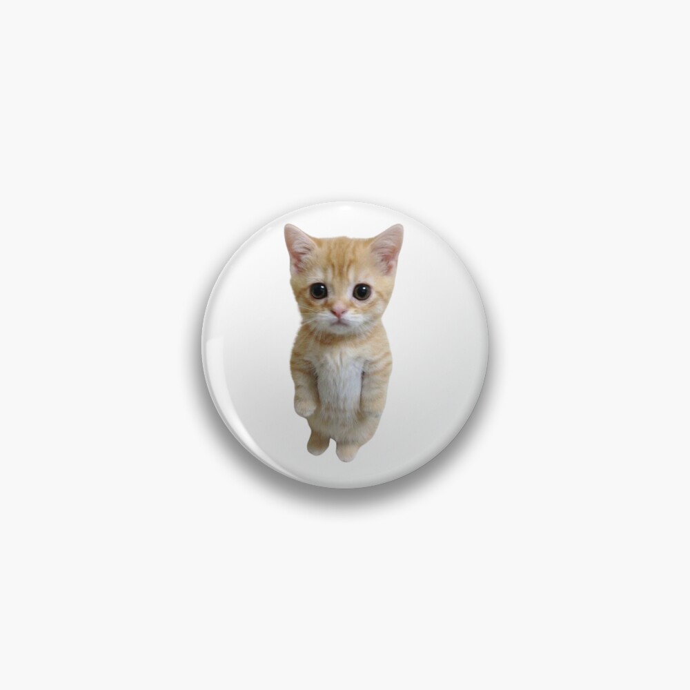 "El Gato Meme" Sticker for Sale by pinkjellydragon | Redbubble