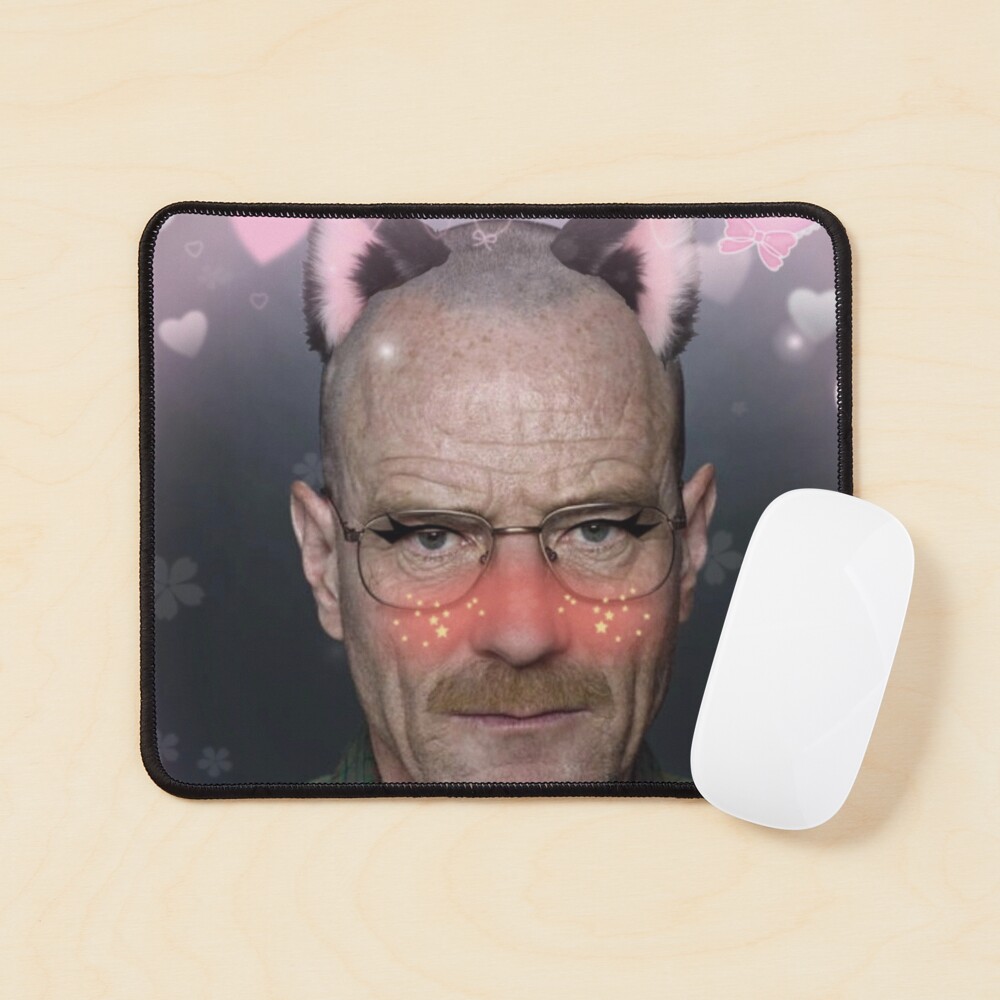 "Breaking Bad Walter White cat boy meme" Sticker for Sale by ...