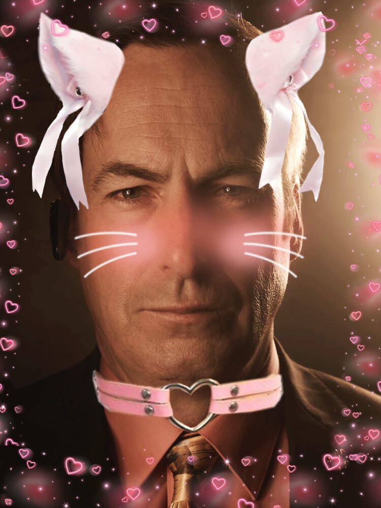 "Better call Saul Saul Goodman cat boy meme" Sticker for Sale by ...