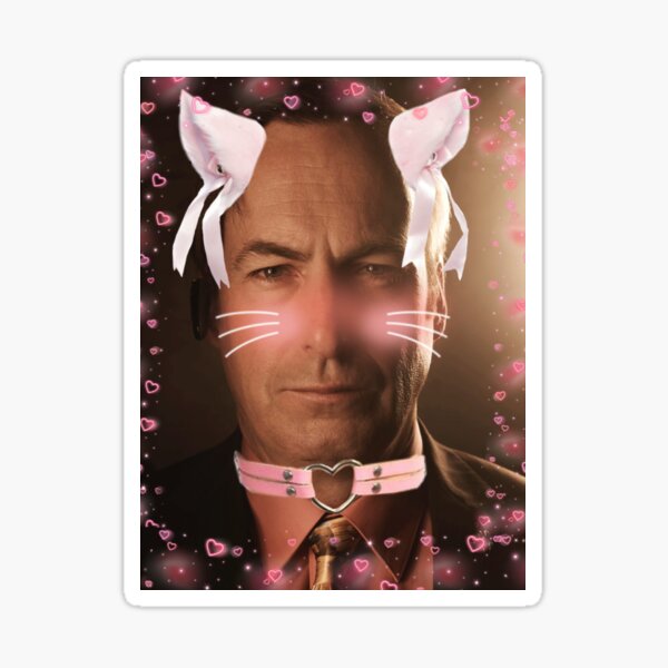 "Better call Saul Saul Goodman cat boy meme" Sticker for Sale by ...