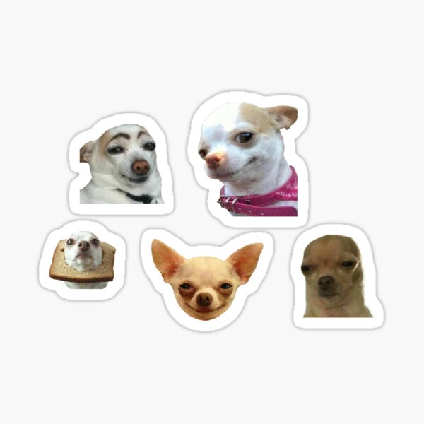 "Funny meme dogs sticker pack" Sticker for Sale by FjallyDesignZ ...