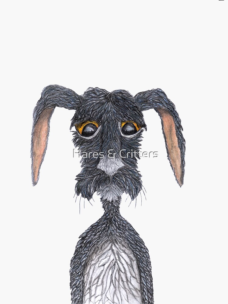 "CONFUSED HARE" Sticker for Sale by dbarker | Redbubble