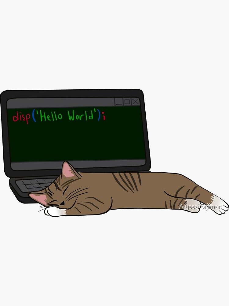 "Coding Cat - MatLab" Sticker for Sale by alyssa-claire- | Redbubble