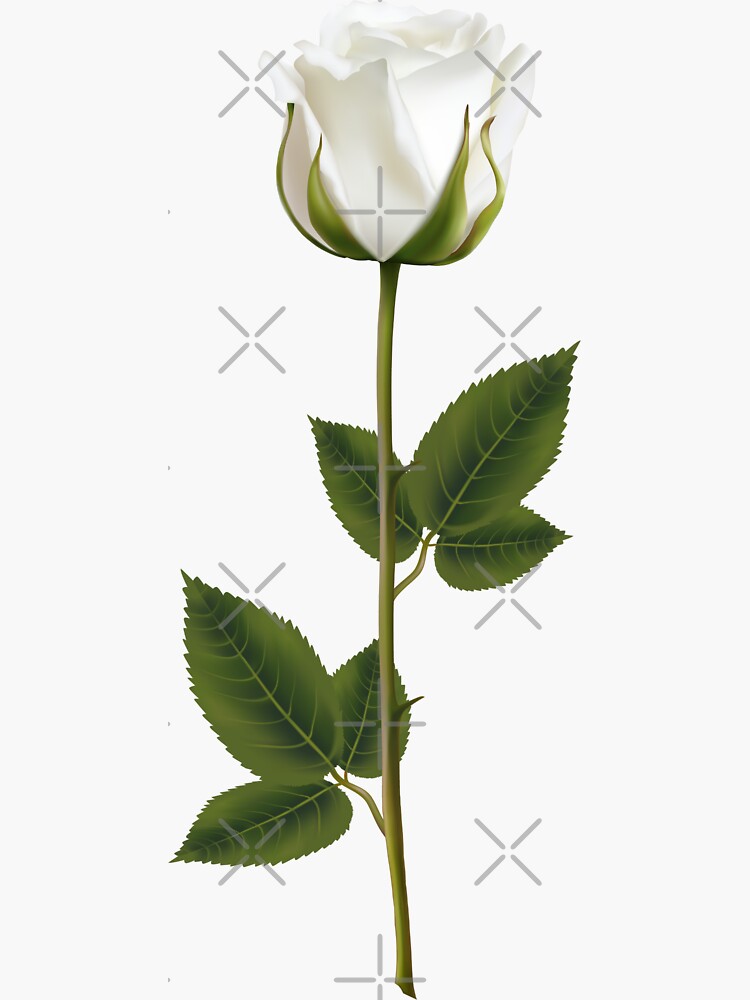 "White Rose | Coriolanus Snow" Sticker for Sale by sumejjap | Redbubble