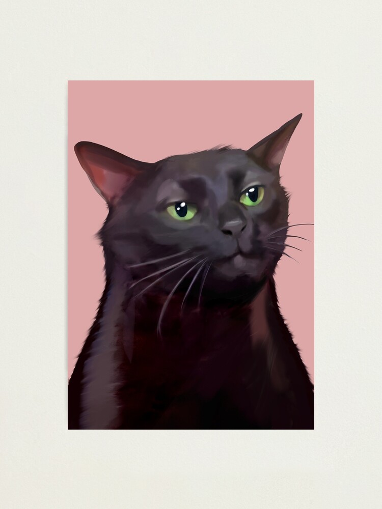 "Black Cat Zoning Out Meme" Photographic Print for Sale by DariaMiller ...