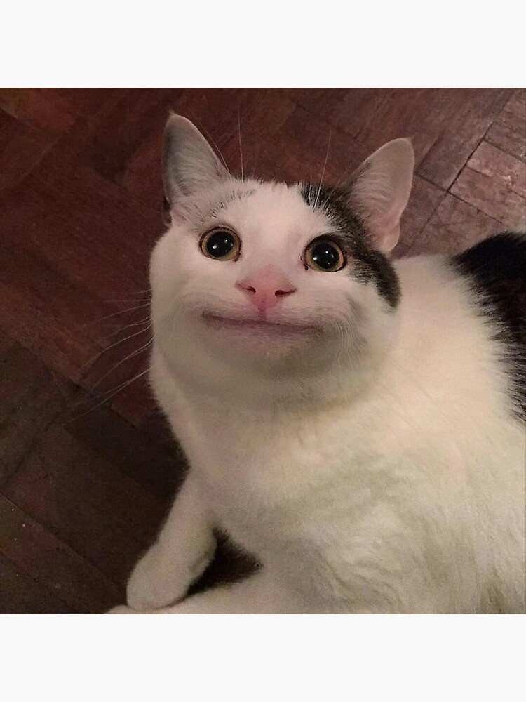 "The Polite Cat Meme" Greeting Card for Sale by EsmuVladiks | Redbubble