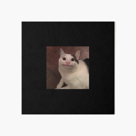 "The Polite Cat Meme" Art Board Print for Sale by EsmuVladiks | Redbubble