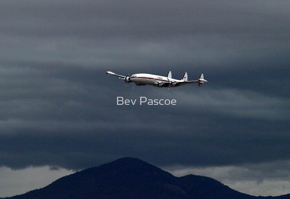 ""Connie" Lockheed Super Constellation - Australian International ...