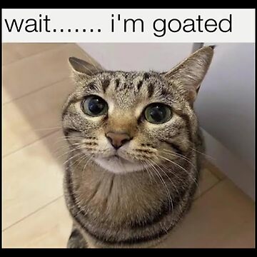"Wait i'm goated cat meme funny positivity silly" Essential T-Shirt for ...