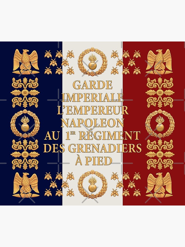 "Napoleonic French "1er Garde Imperiale" flag" Art Print for Sale by ...