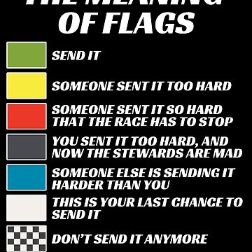 "The Meaning of Racing Flags, Just Gonna Send It, Race Flags, Karting ...