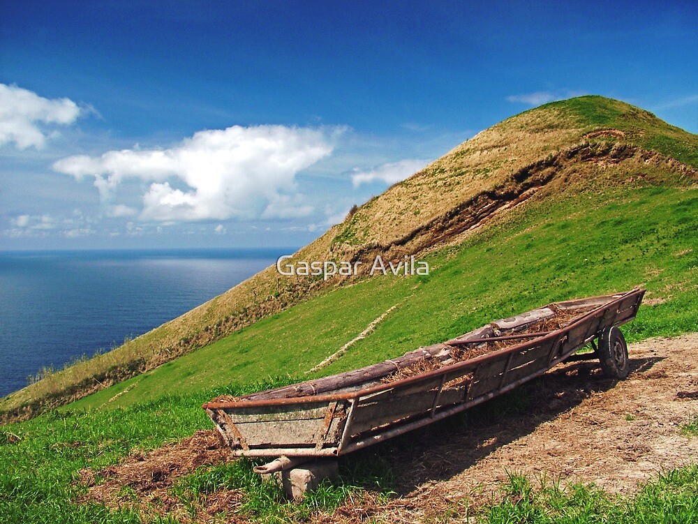 "Farm in Azores islands" by Gaspar Avila | Redbubble